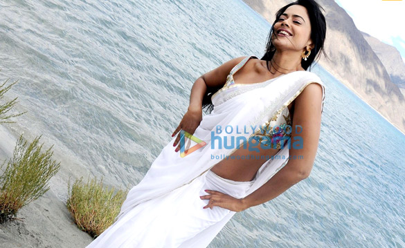 Sameera Reddy Photos, Images, HD Wallpapers, Sameera Reddy HD Images ...