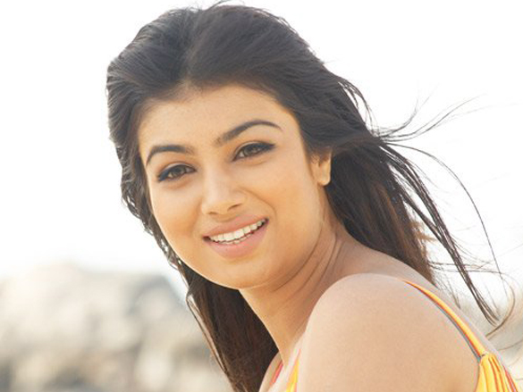 Ayesha Takia Azmi Photos, Images, HD Wallpapers, Ayesha Takia Azmi HD ...