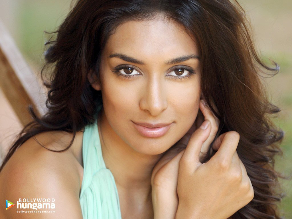 Preeti Desai Wallpapers | preeti-desai-8 - Bollywood Hungama