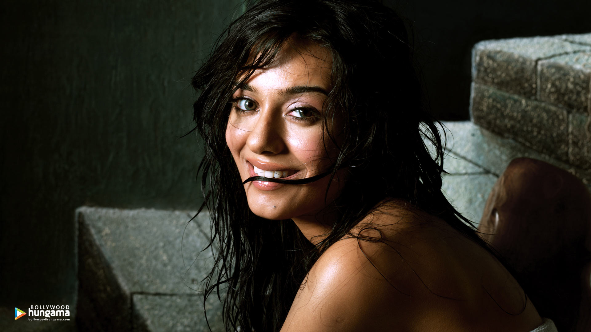 Amrita Rao Wallpapers | amrita-rao-16 - Bollywood Hungama