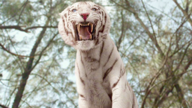 Theatrical Trailer (Roar) | Video Trailer - Bollywood Hungama