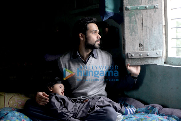 Tigers Box Office Collection | India | Day Wise | Box Office ...