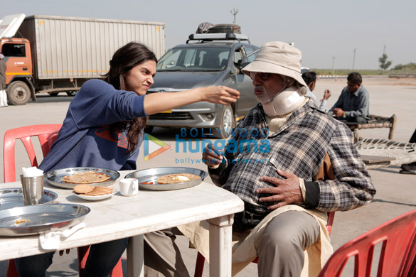 Piku Movie Stills - Bollywood Hungama