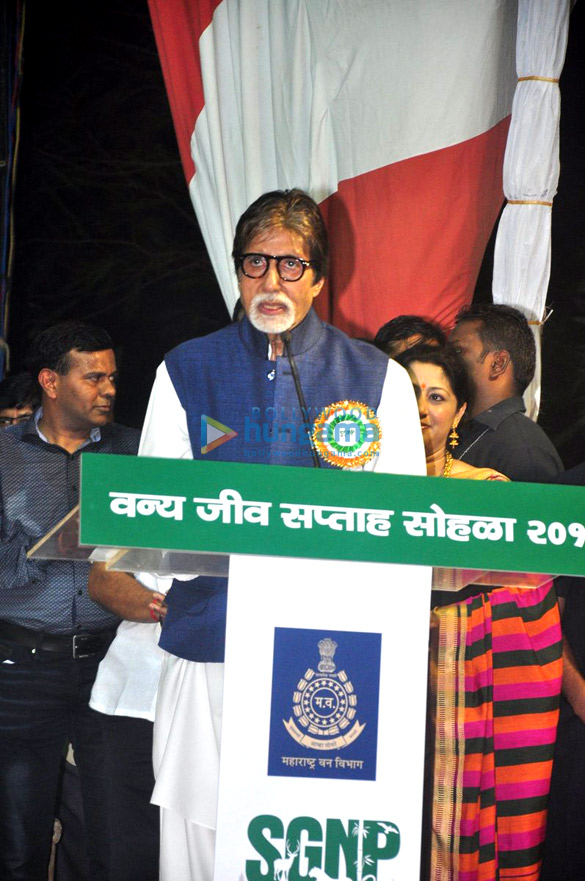 Amitabh Bachchan appointed as Maharashtra’s Tiger ambassador | Amitabh ...