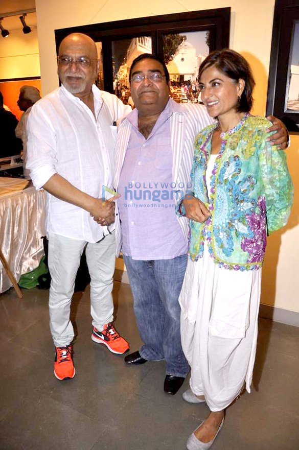 Dr. Mukesh Batra’s 9th annual charity photo exhibition | Pritish Nandy ...