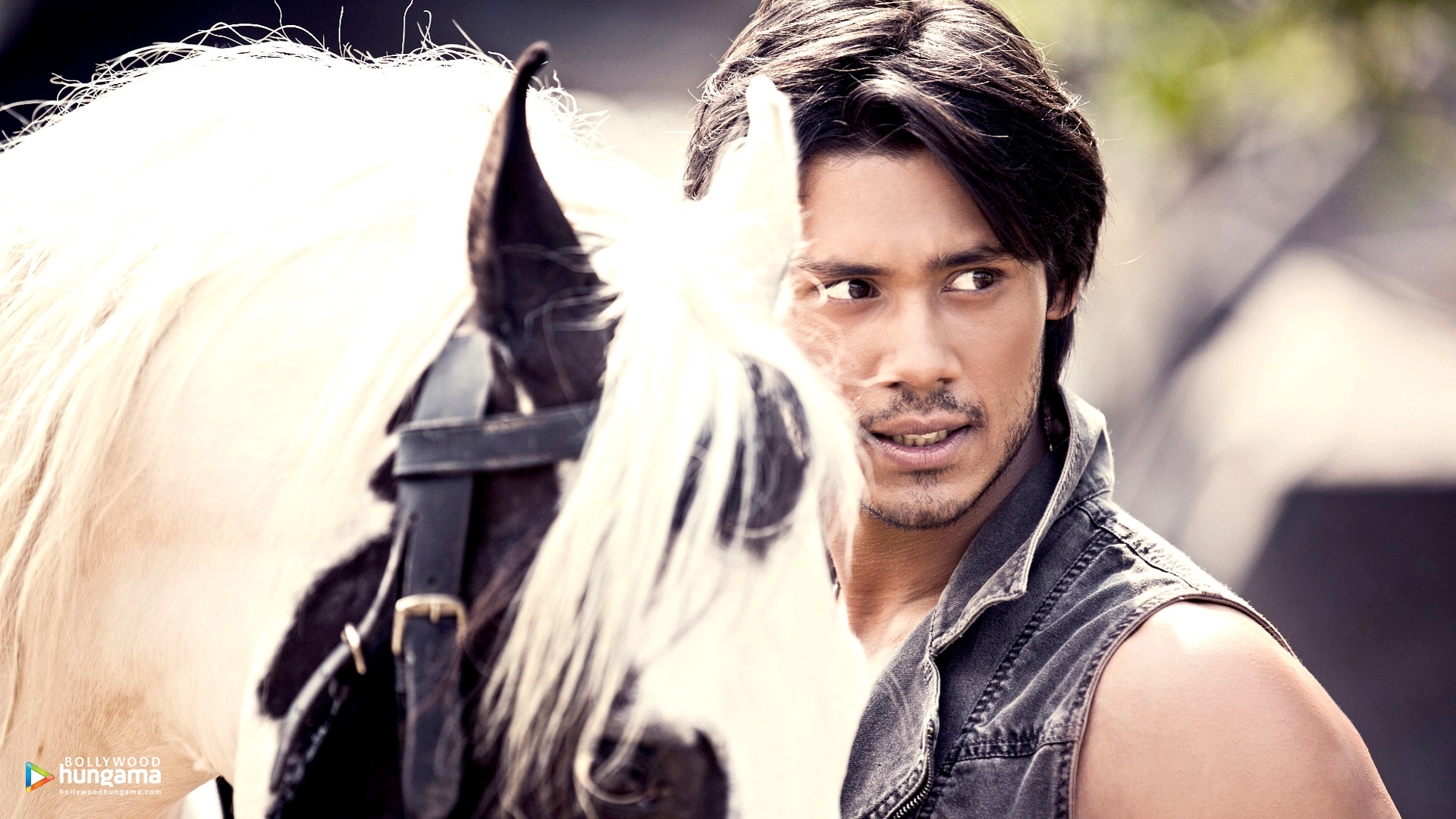 Harshvardhan Deo Wallpapers | harshvardhan-deo-8 - Bollywood Hungama