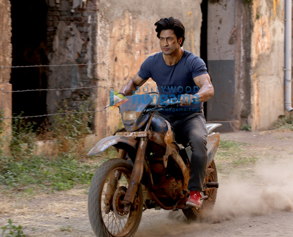 Junglee Movie Stills - Bollywood Hungama