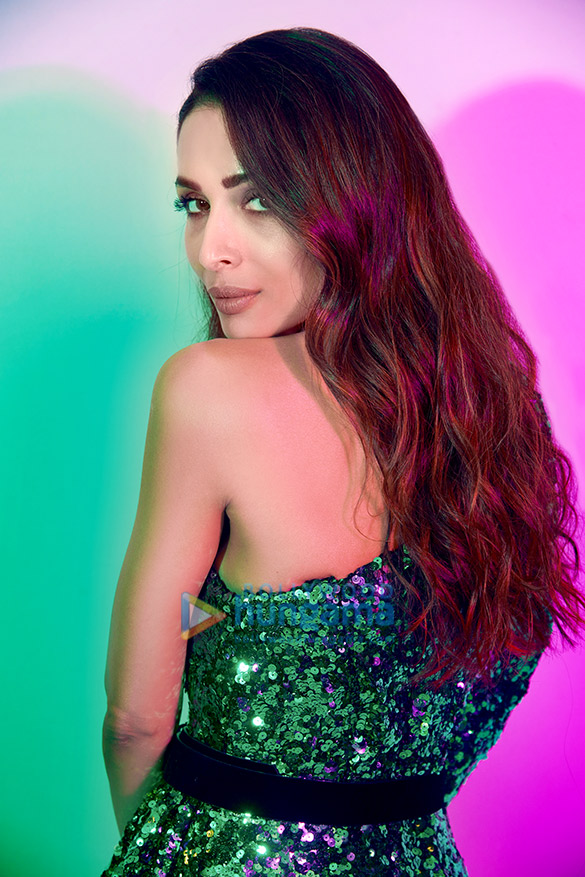 Malaika Arora Photos - Bollywood Hungama