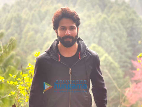 Bhediya Movie: Review | Release Date | Songs | Music | Images ...