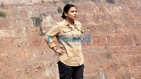 Sherni Movie Stills - Bollywood Hungama