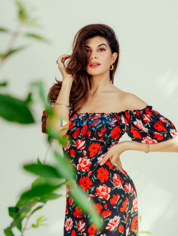 Jacqueline Fernandez Photos, Images, HD Wallpapers, Jacqueline ...