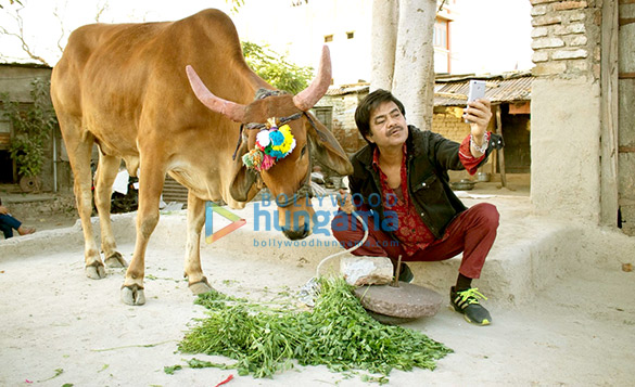 Holy Cow Movie Stills - Bollywood Hungama
